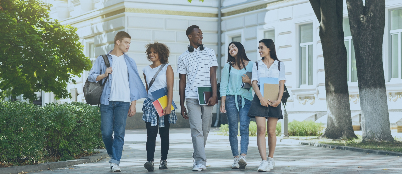 Intercultural Collaborative Learning ｜Learning in Diversity ｜Global ...